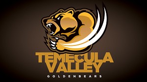 Temecula Logo Design Portfolio